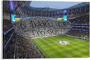 Amazon.com: Pitch Poster Tottenham Hotspur Stadium Canvas Wall Art ...