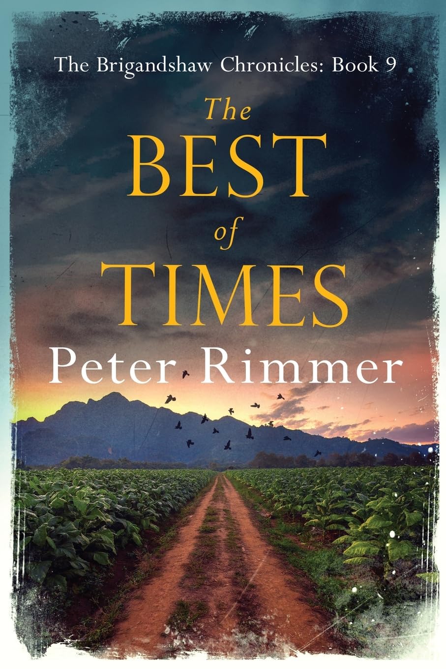 Amazon.com: The Best of Times: A captivating historical come to life ...