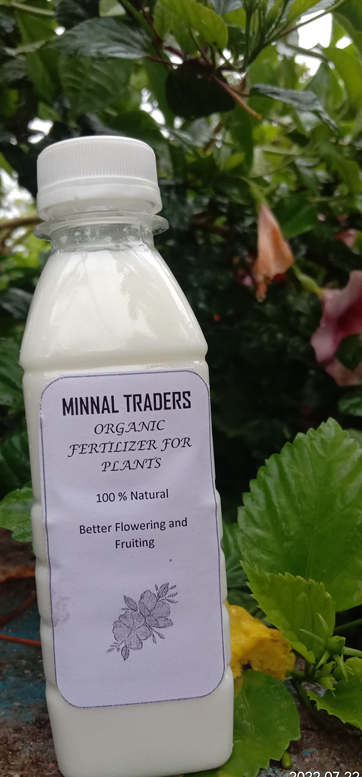 Organic Fertilizer for Plant/Fermented Buttermilk and Coconut Milk ...