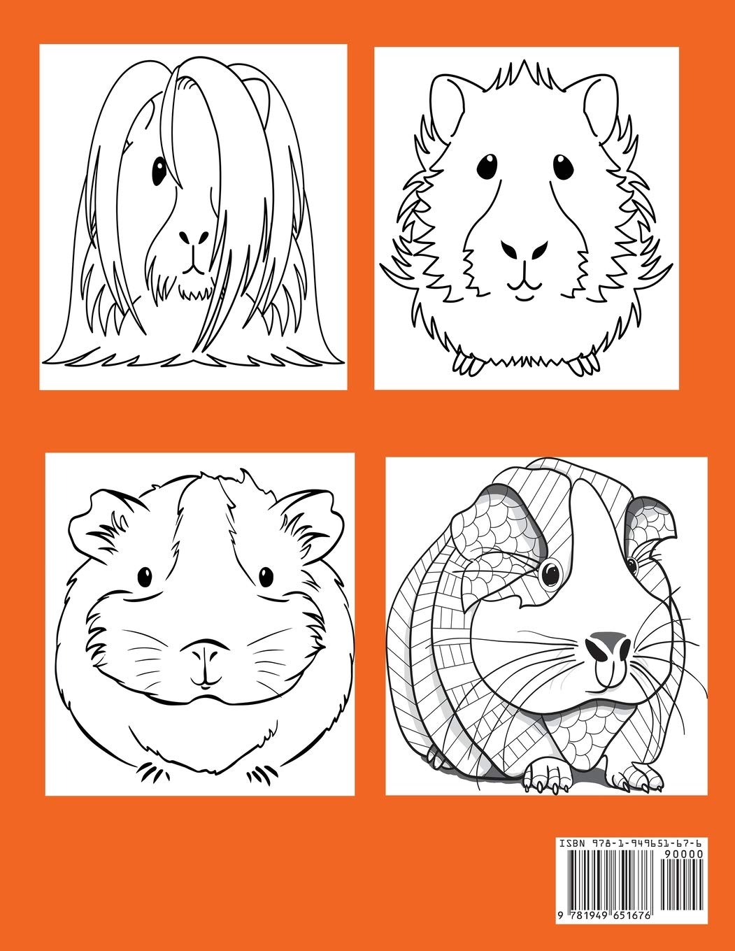 Realistic Guinea Pig Coloring Pages