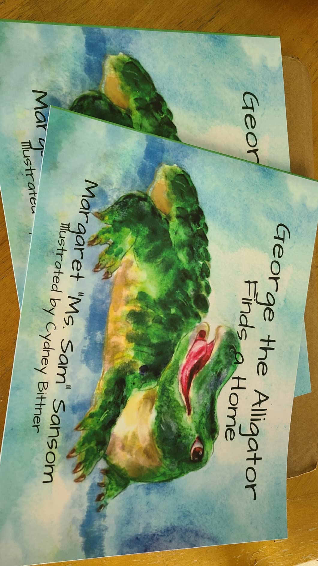 George the Alligator Finds a Home: Sansom, Margaret: 9781637772881 ...