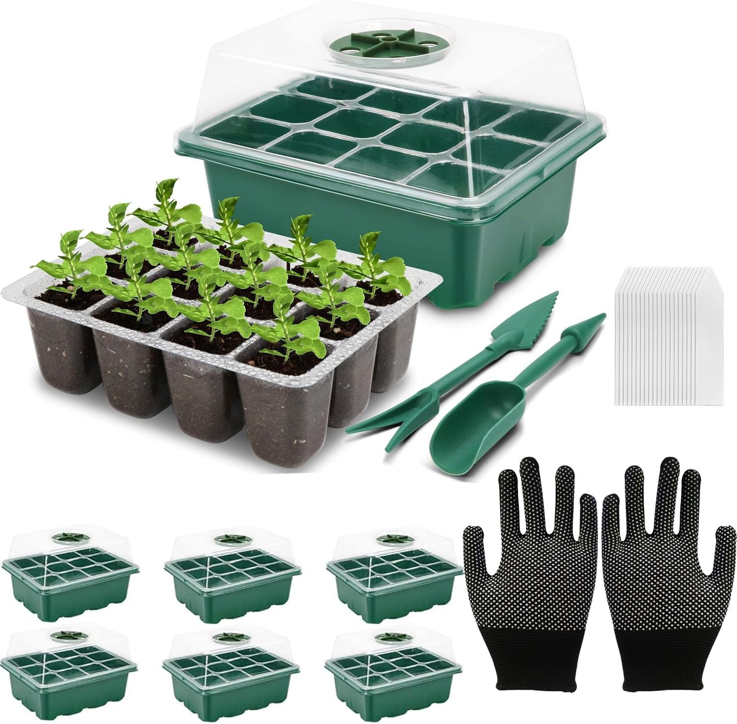 VDYXEW Seed Tray, Seedling Tray (12 Cells per Tray) with Humidity ...
