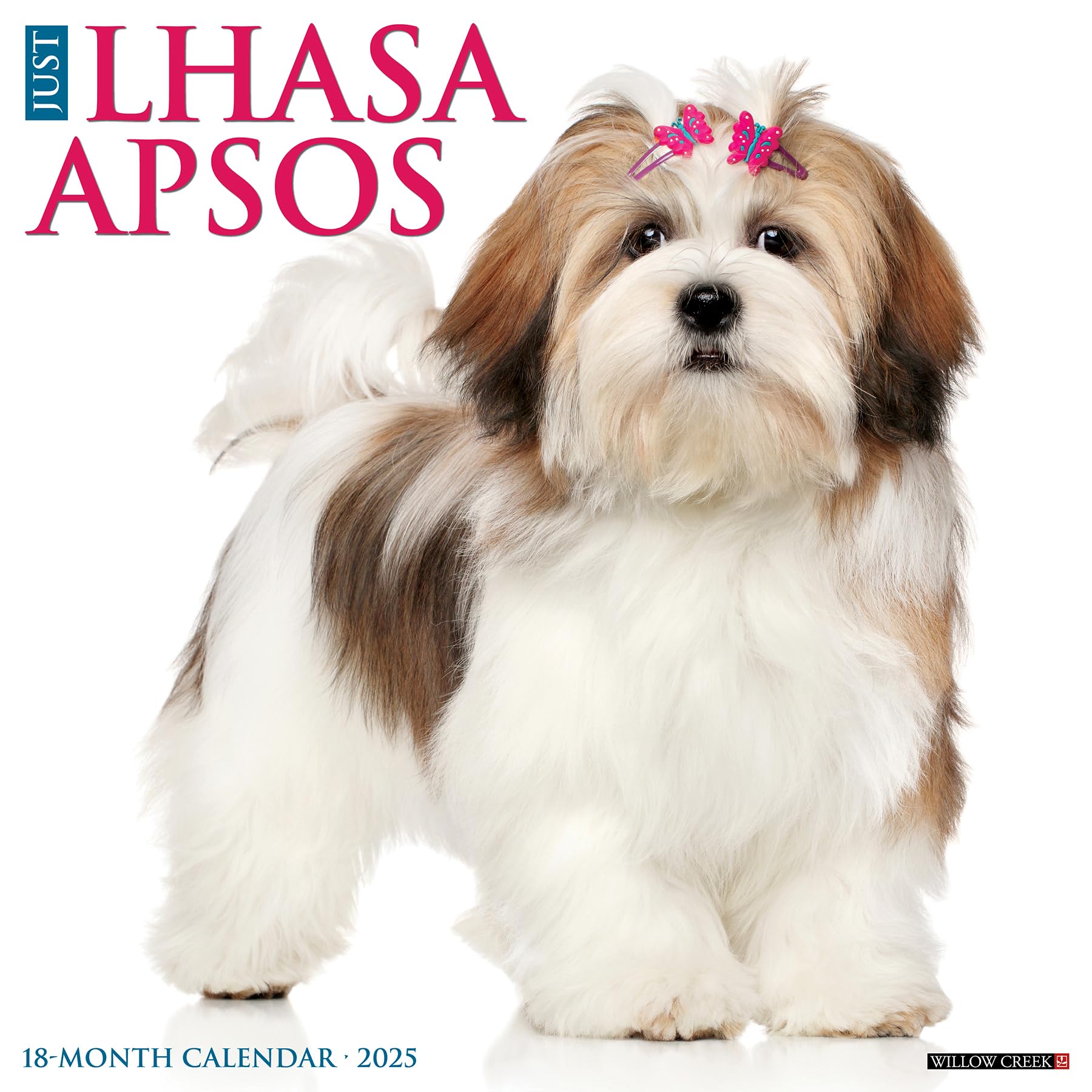 Amazon.com: Willow Creek Press Lhasa Apsos Monthly 2025 Wall Calendar (12" x 12") : Willow Creek ...