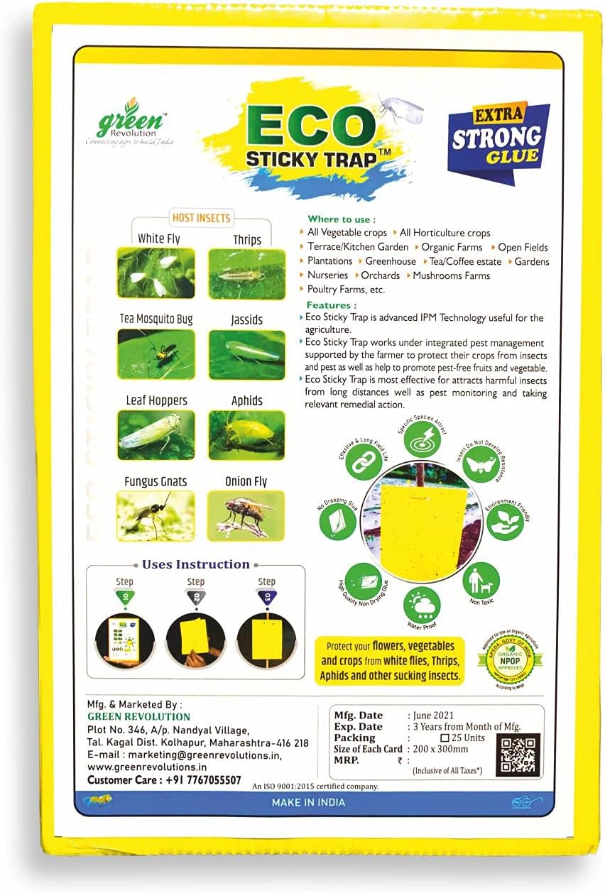 Flere Sticky Insect Trap (Yellow, 6.5 x 8 Inch, Large Size) - Pack of ...