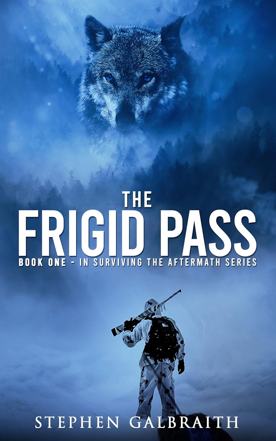 Amazon.com: The Frigid Pass: Book One In Surviving The Aftermath Series ...