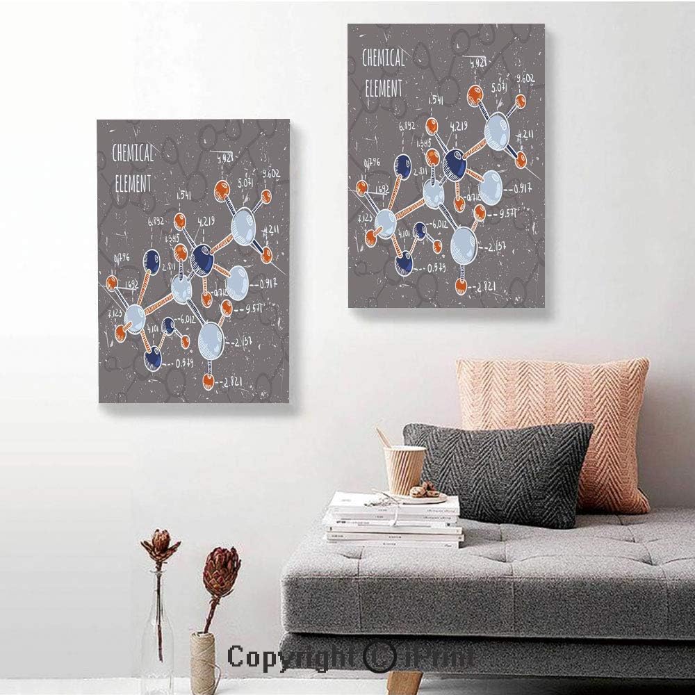 Amazon.com: SfeatruRWF 2 Piece Multi Panel Hanging Canvas,Chemistry ...