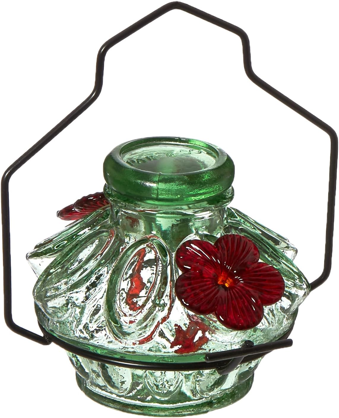 Amazon.com : Parasol PDCMSG Pot de Creme Moon and Stars Green : Wild ...