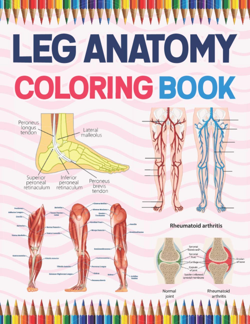 Buy Leg Anatomy Coloring Book: Human Leg Anatomy Student's Self-test ...