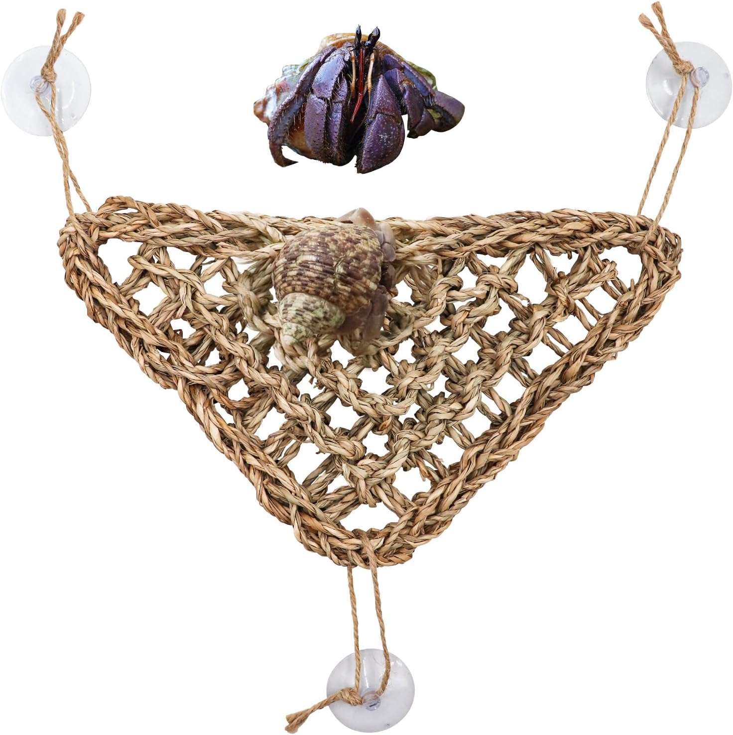 Amazon.com : Oooct Hermit Crab Climbing Toys, Seagrass Mat Lizard ...
