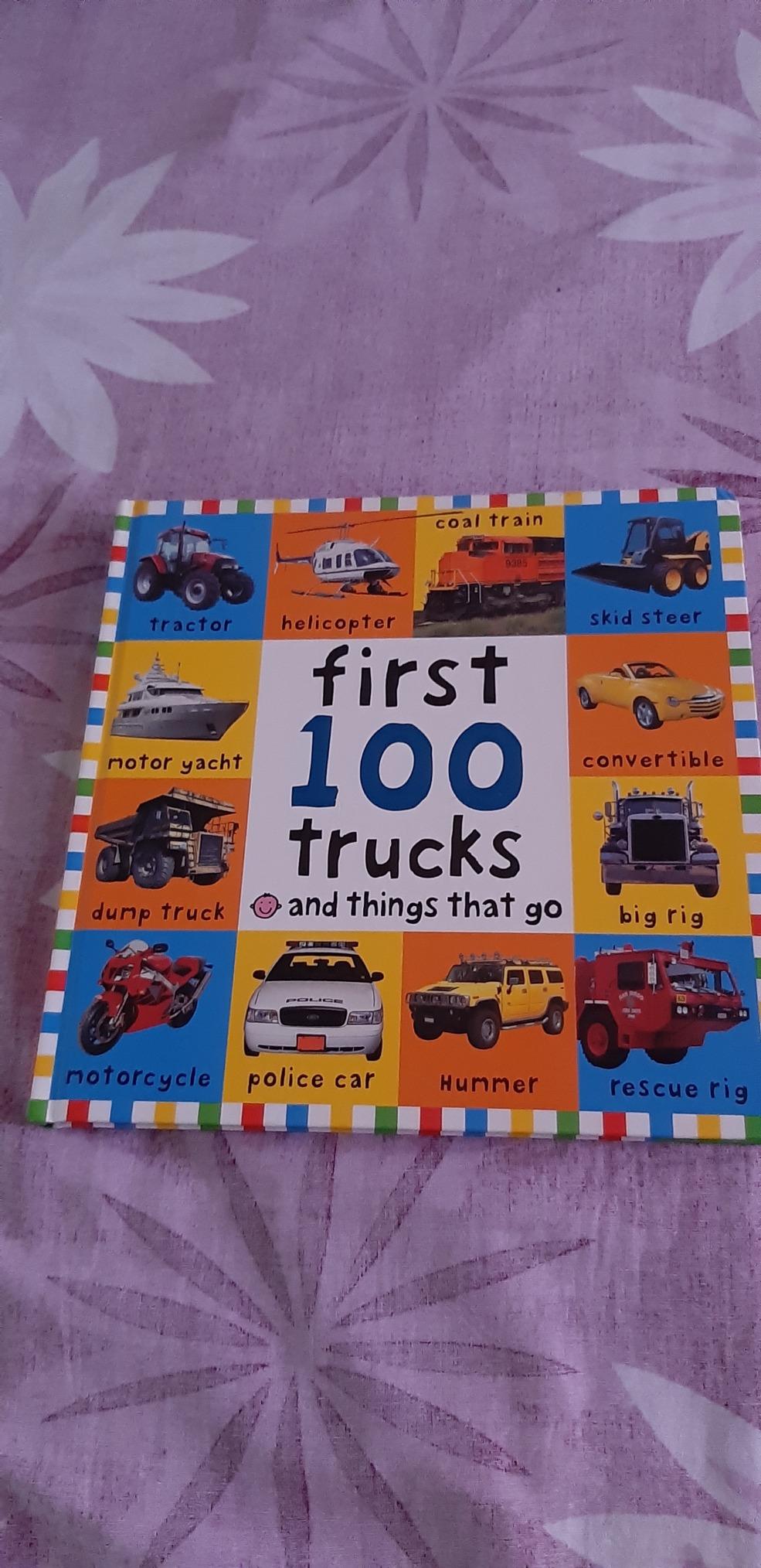 Big Board First 100 Trucks and Things That Go : Roger Priddy: Amazon.in ...