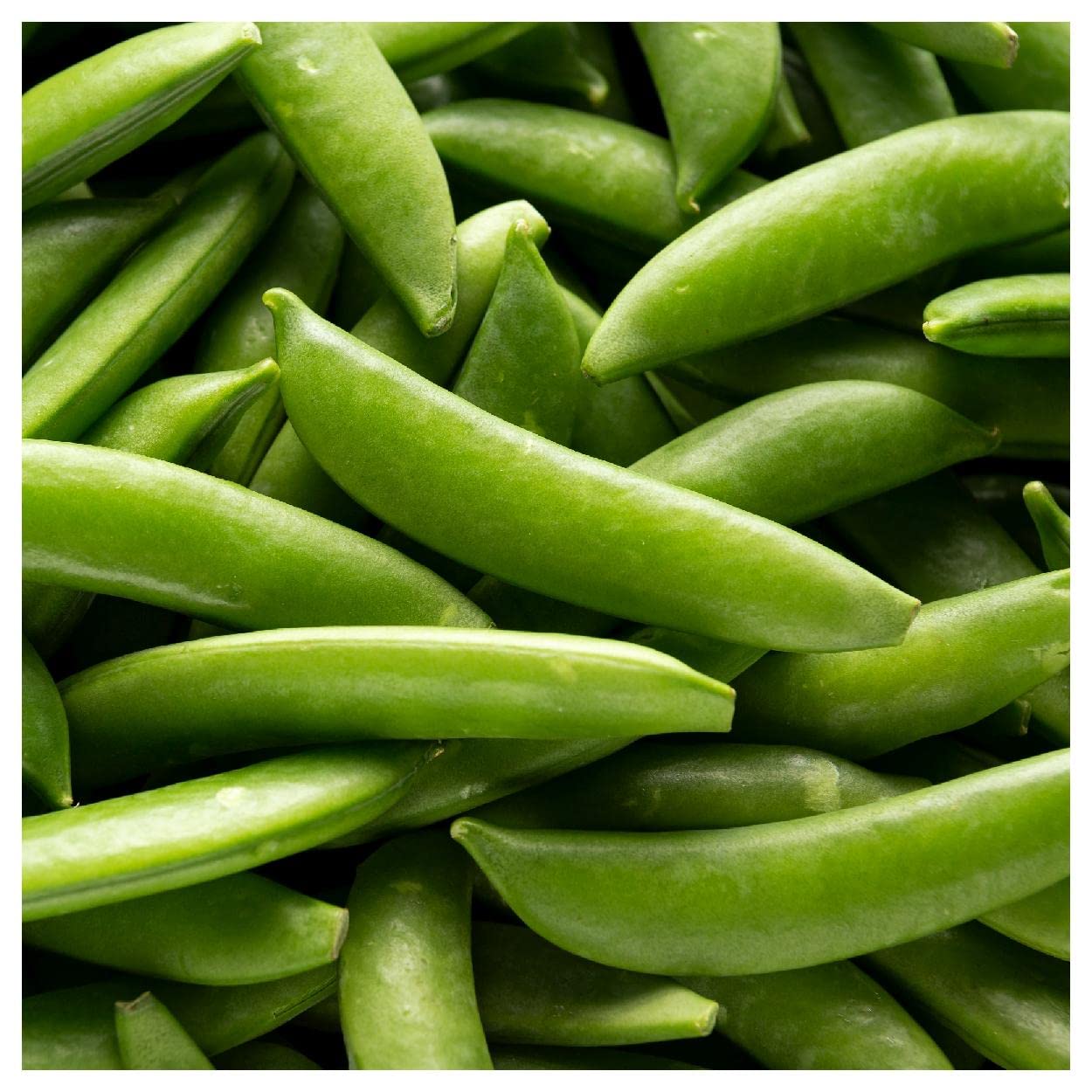 Amazon.com : Everwilde Farms - 1/4 Lb Sugar Snap Pea Seeds - Gold Vault ...