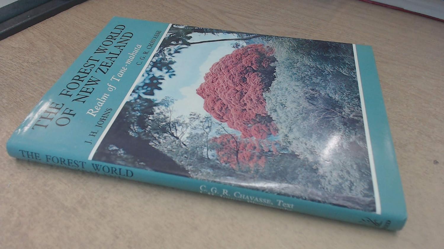 The forest world of New Zealand: Realm of Tane-mahuta: Johns, John ...