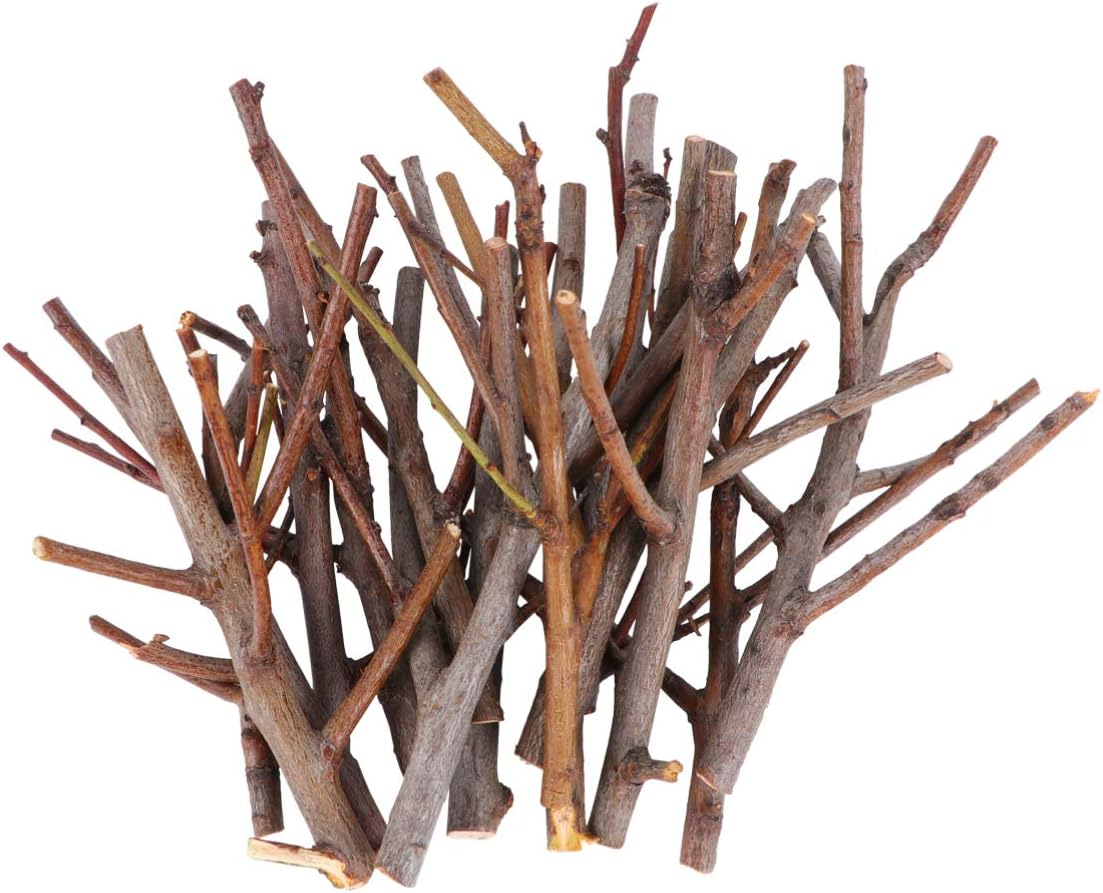 Amazon.com: GRIRIW Bag of Natural Wooden Log Sticks for Crafts ...