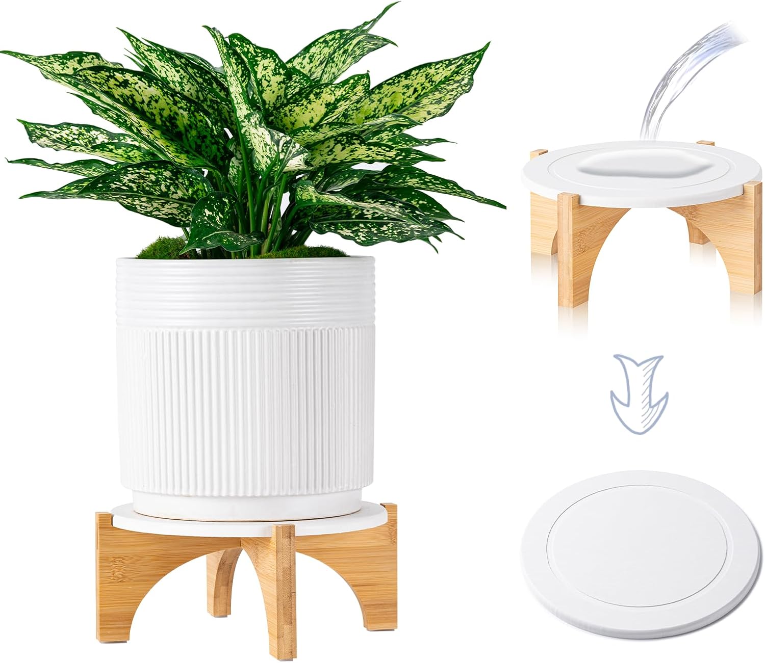 Amazon.com: Upgraded Plant Stand Indoor with Instant Dry Stone Plant ...