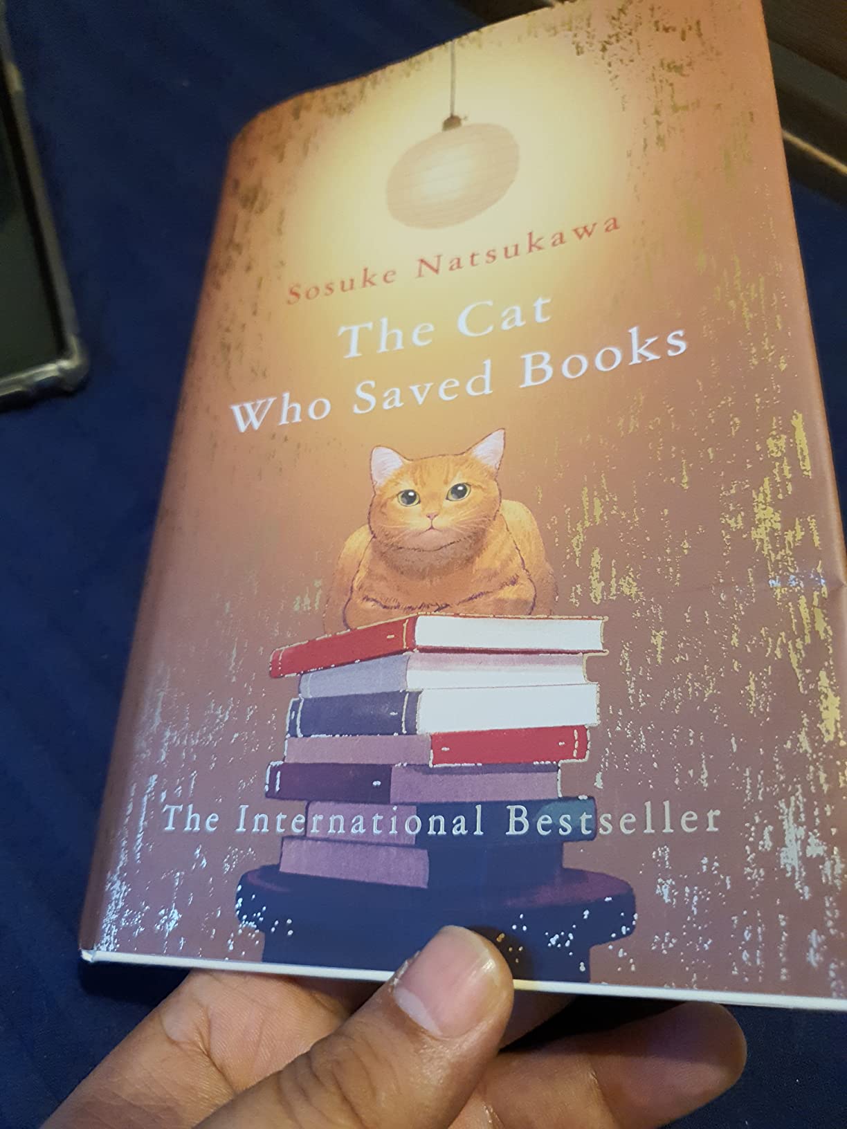 The Cat Who Saved Books : Natsukawa, Sosuke: Amazon.in: Books