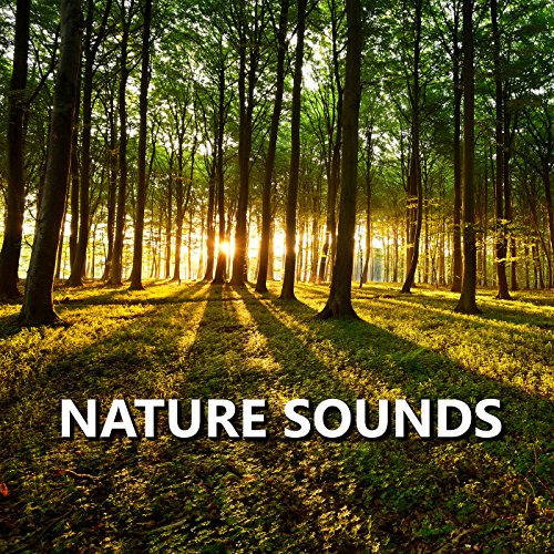 Amazon.com: Nature Sounds : Sounds of Nature: Digital Music