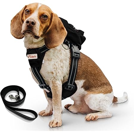 Amazon.com : PawLok Design Dog Backpack Harness with Leash-Stylish ...