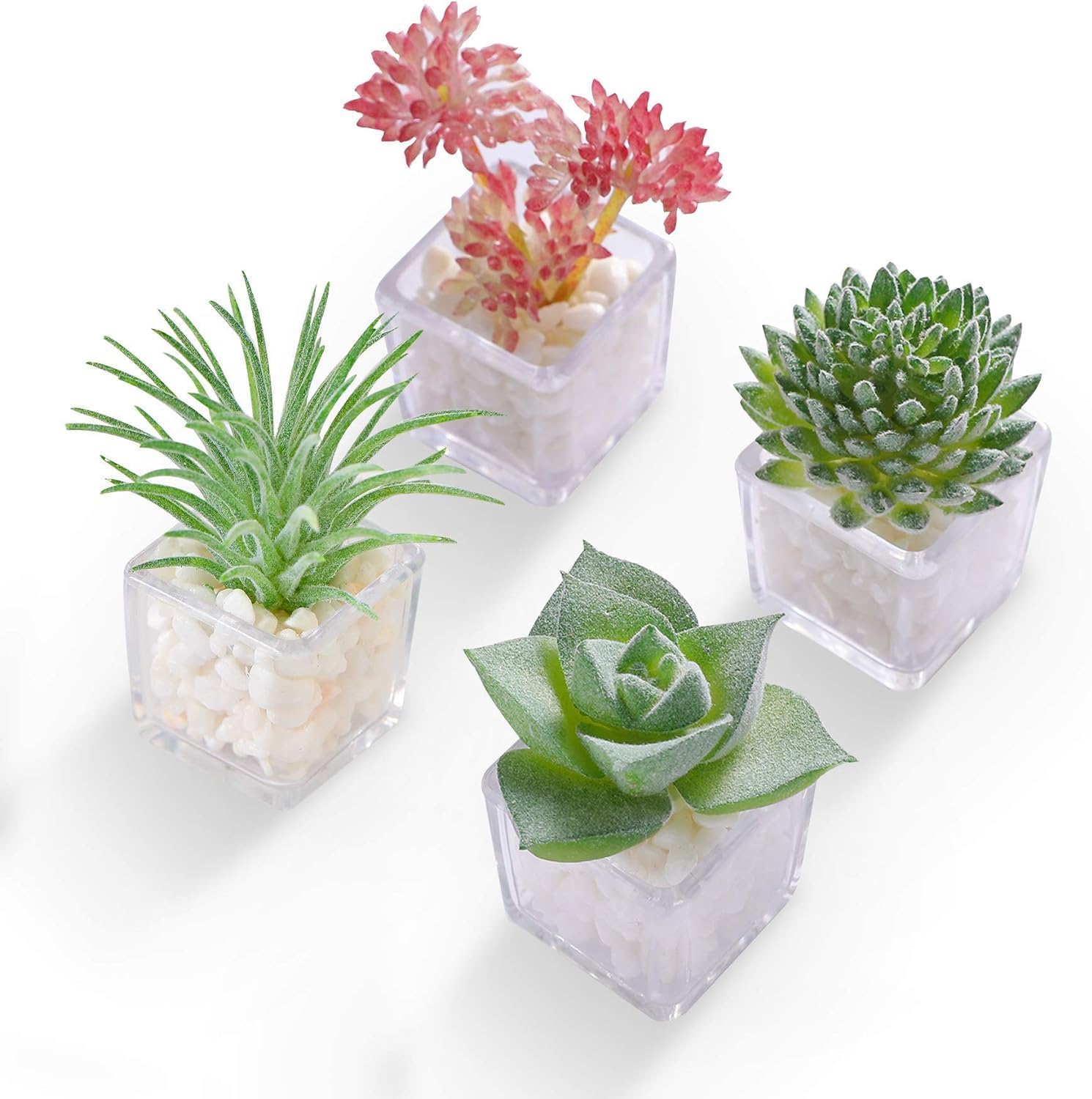 Amazon.com: 8Pcs Cute Plant Fridge Magnets Mini Plant Magnets for ...