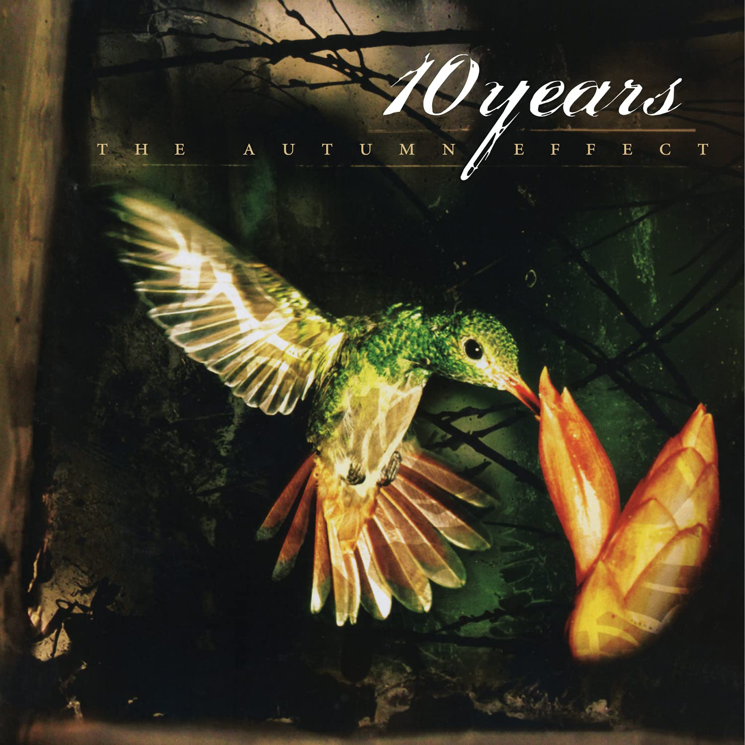 Amazon.com: Autumn Effect - 180-Gram Black Vinyl: CDs & Vinyl