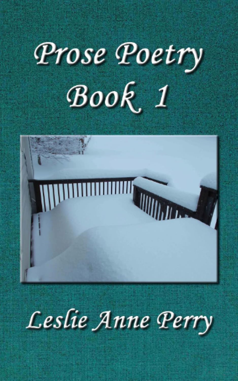Prose Poetry Book 1: Perry, Leslie Anne: 9798353393047: Amazon.com: Books