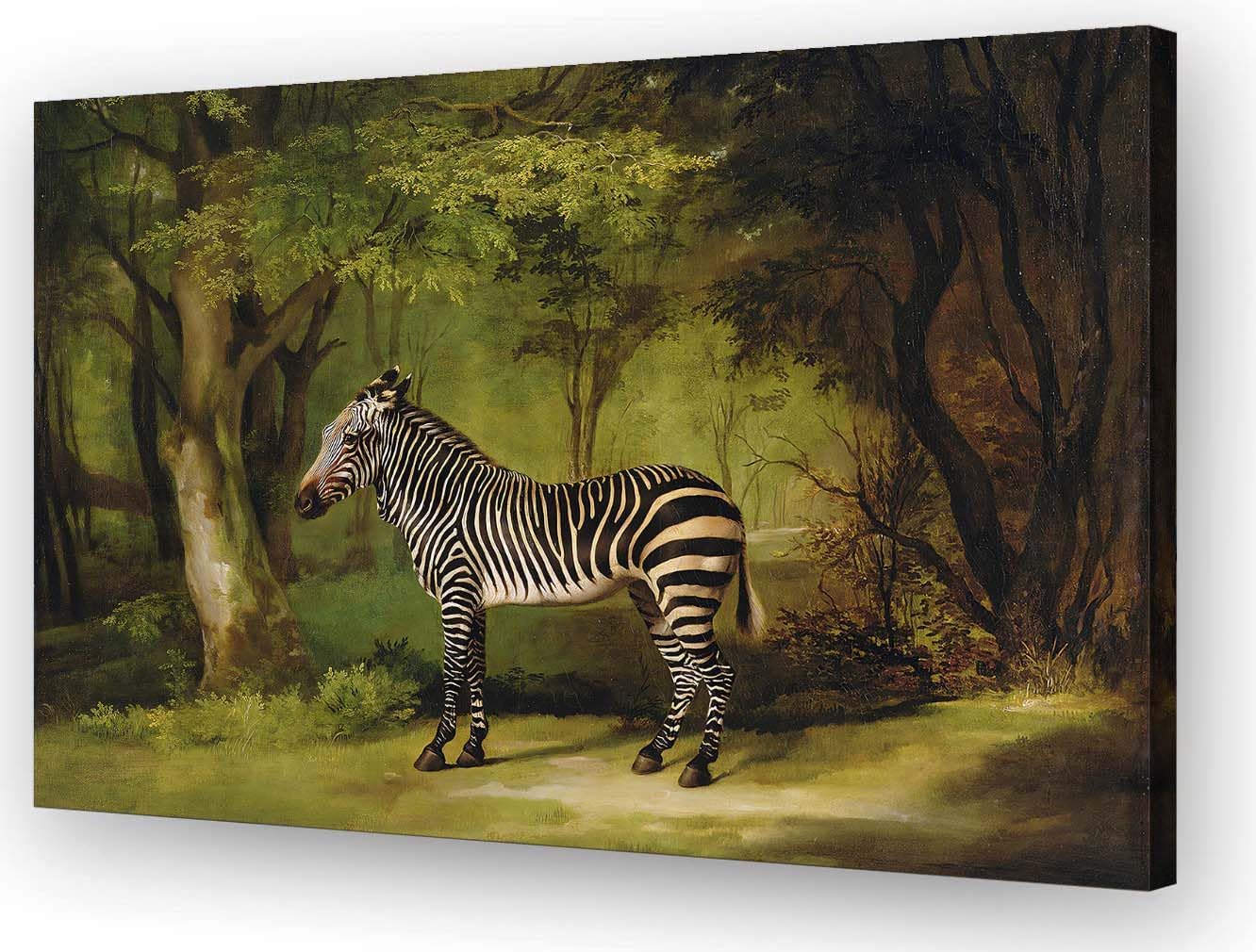 Amazon.com: Wallpicss Zebra Wall Art Famous Paintings Posters Framed ...