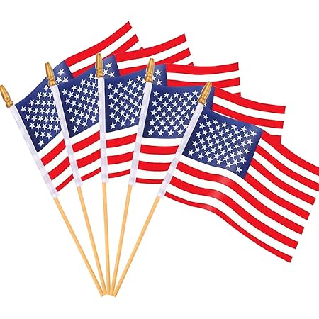 Amazon.com: Pack of 100, Small US American Handheld Flags, 4x6 Inch ...