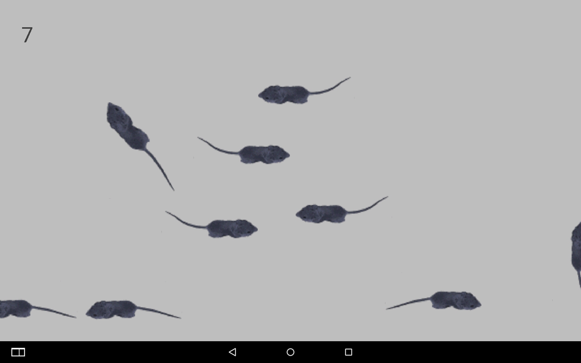 Mice Catch - Cat Game - App on Amazon Appstore
