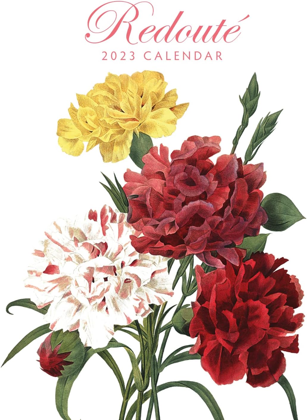 Amazon.com: 2023 Redoute Monthly Wall Calendar by Red Robin Calendars ...