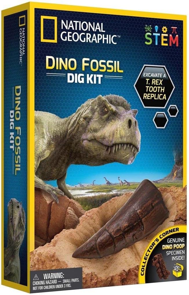 Amazon.com: National Geograpic Dino Dig Kit : Toys & Games