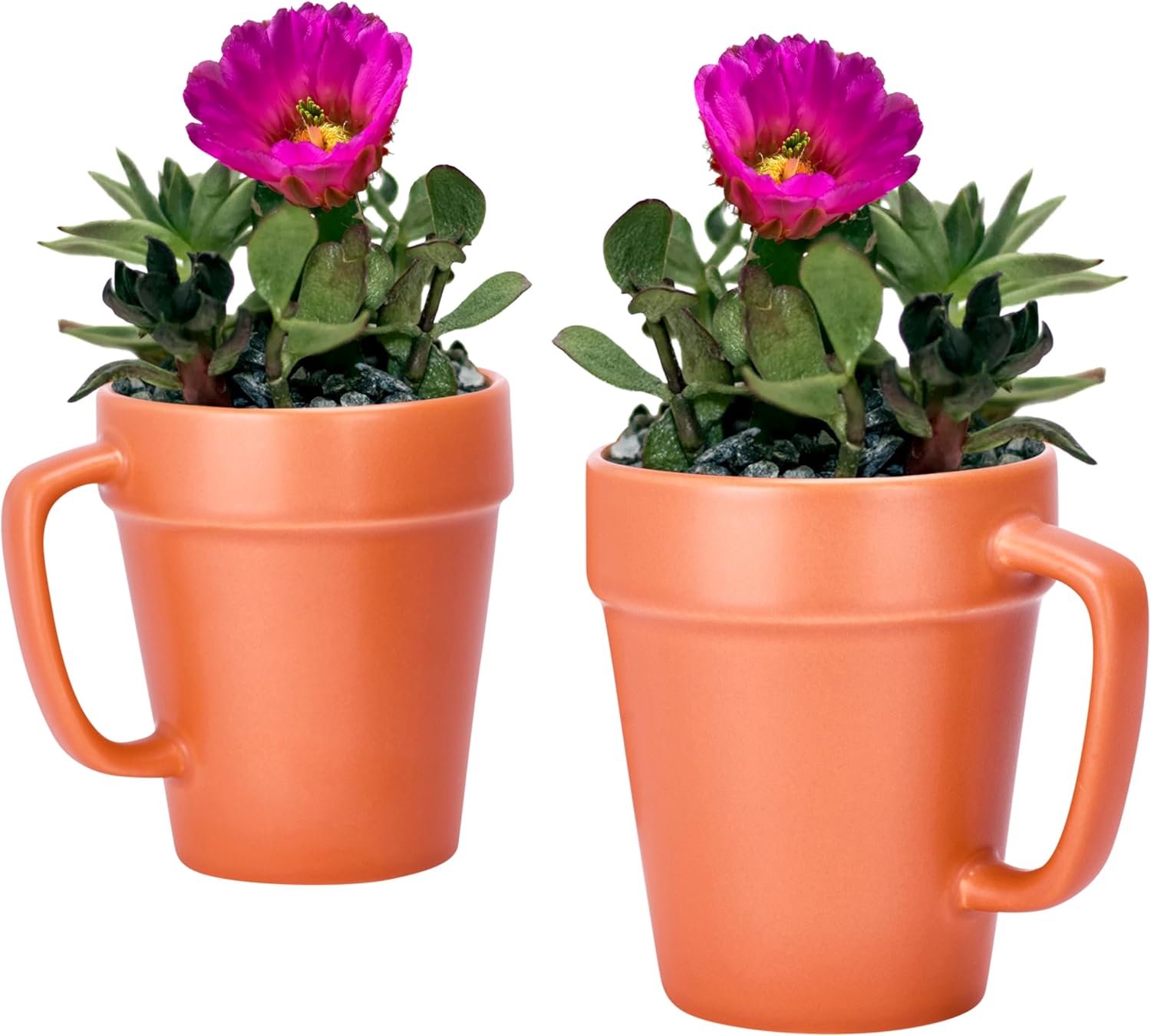 Regal Trunk & Co. Plant Pots Set of 2 - Versatile Garden Pots and ...