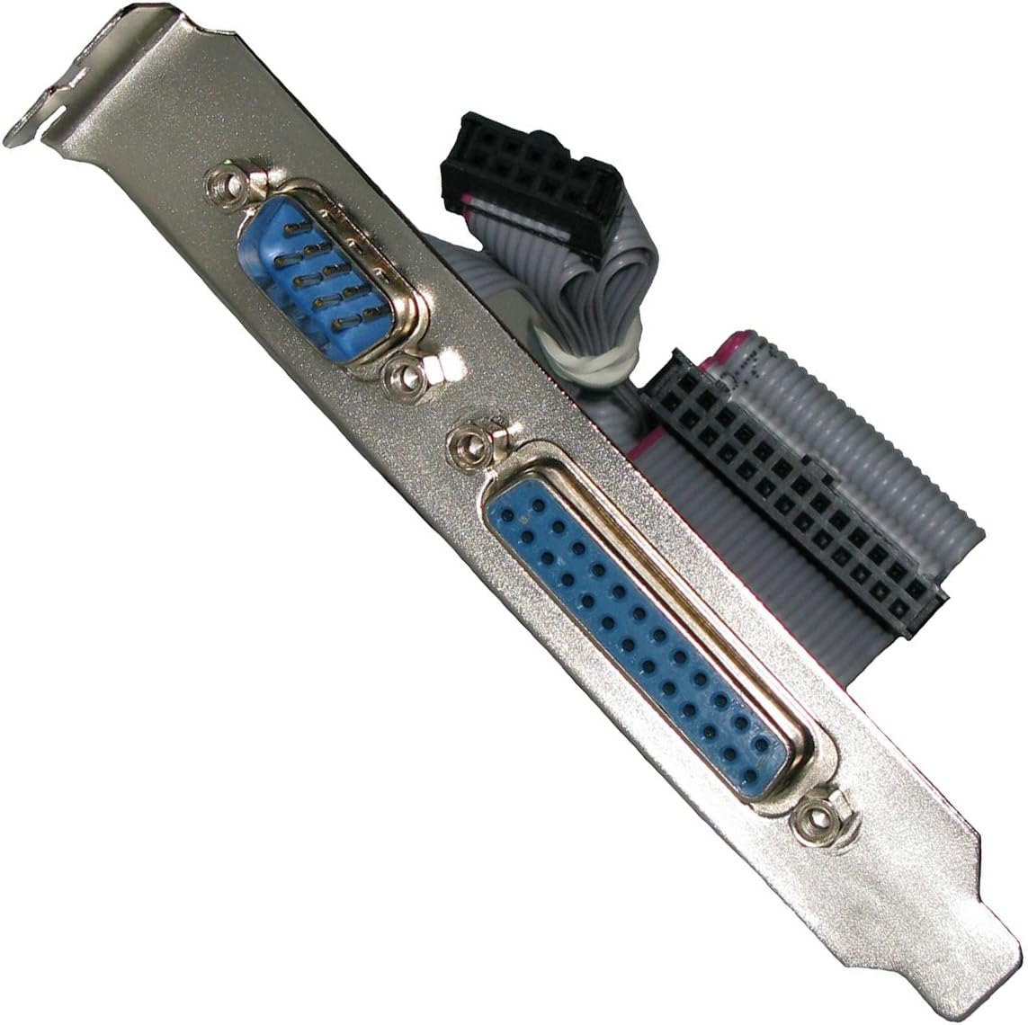 Amazon.com: RS232 Serial DB9 Male + Parallel DB25 Female COM Port (LPT ...