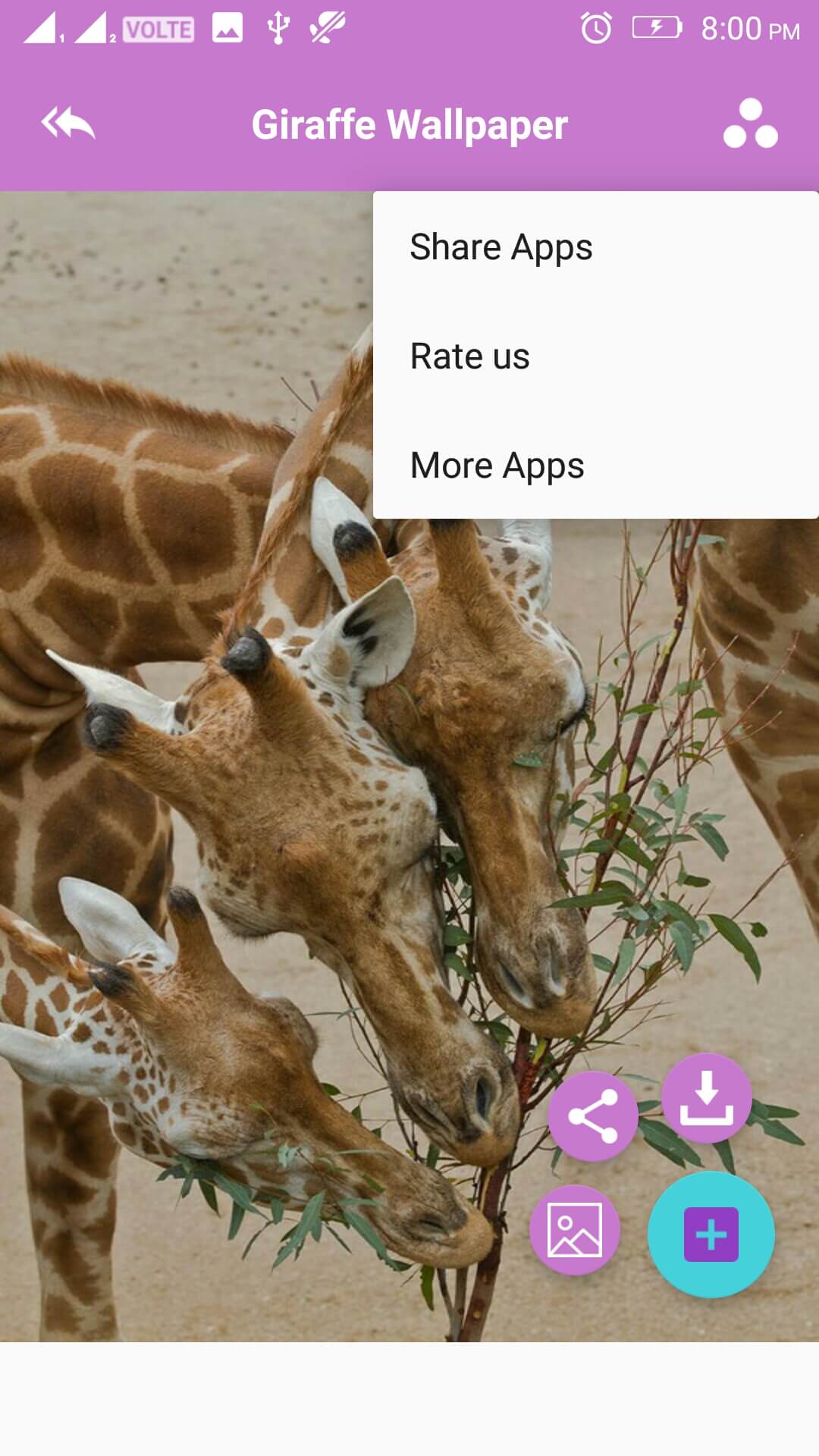 Giraffe Wallpapers Apps On 340+ Giraffe Walking On The Green Grass
