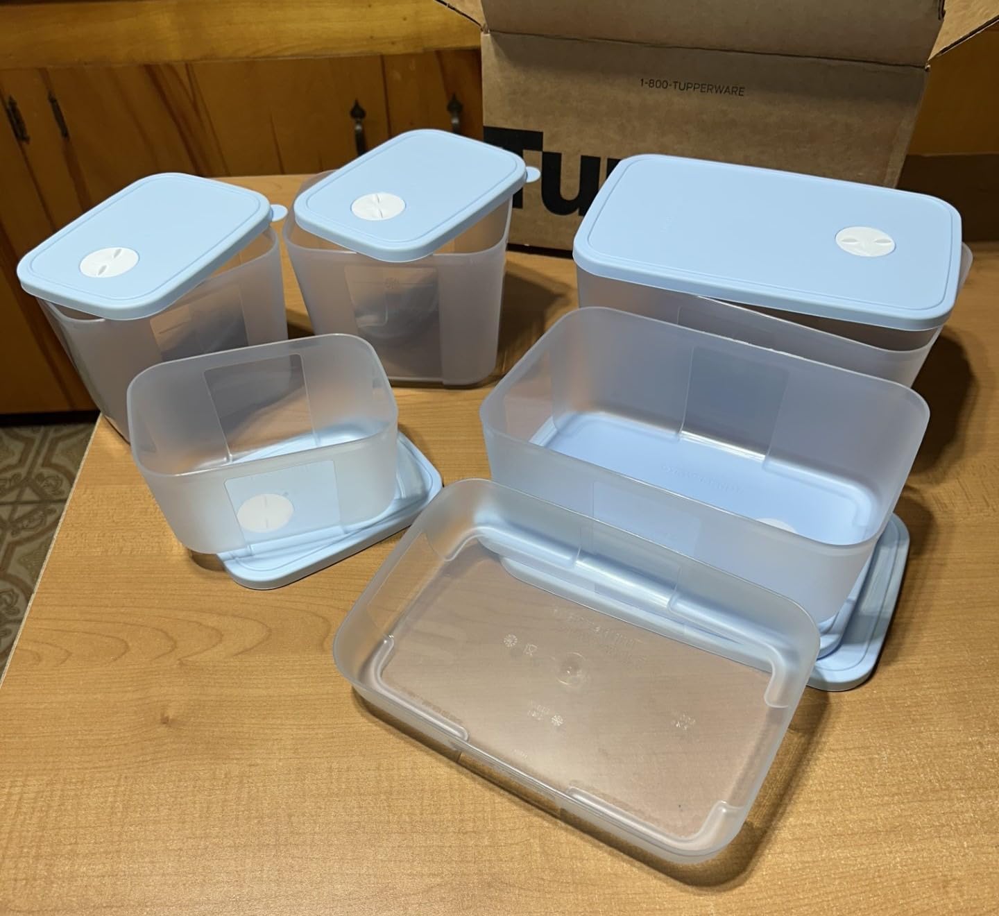 Amazon.com: Tupperware Date, Store & Freeze Collection 12 Piece Food ...