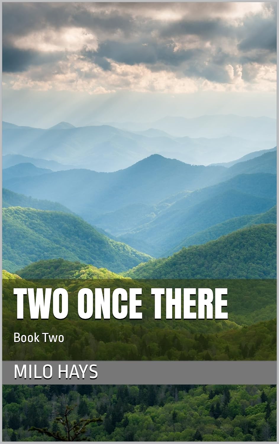 Amazon.com: Two Once There: Book Two (Two Once Removed 2) eBook : Hays ...