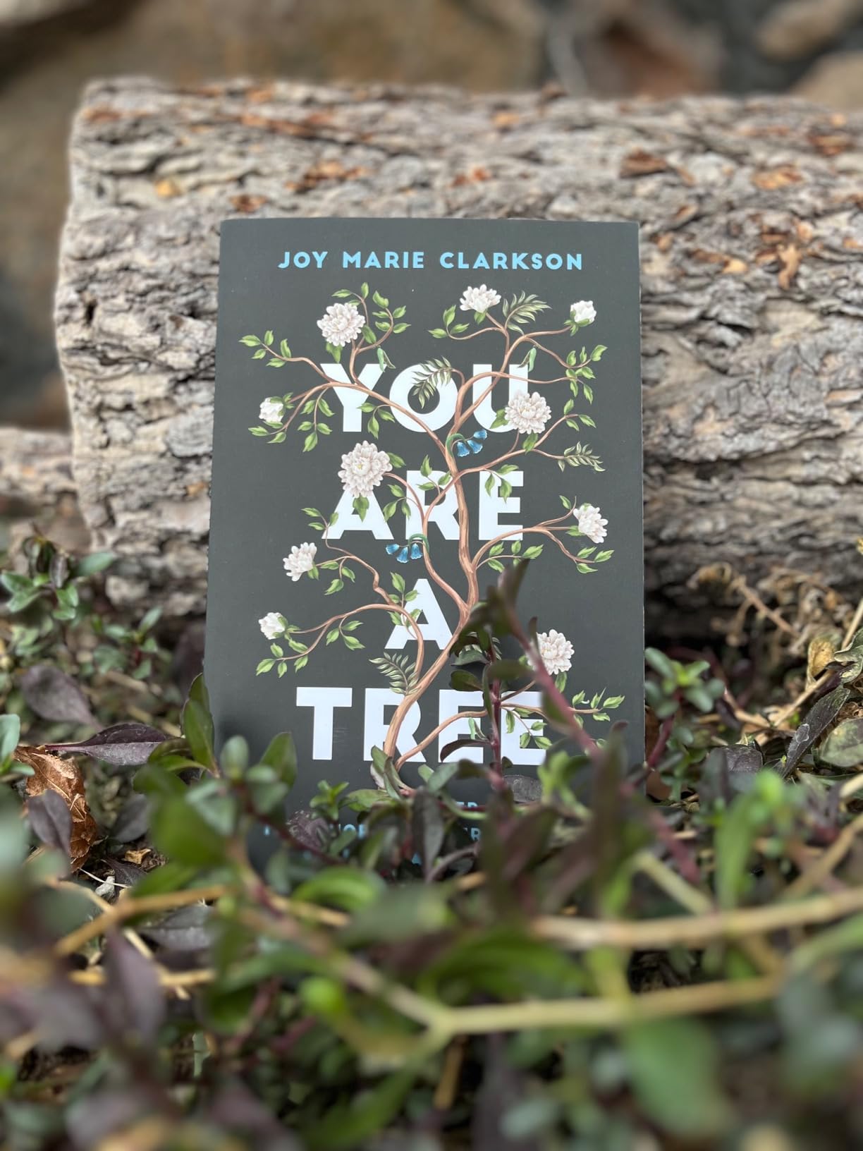You Are a Tree: And Other Metaphors to Nourish Life, Thought, and ...