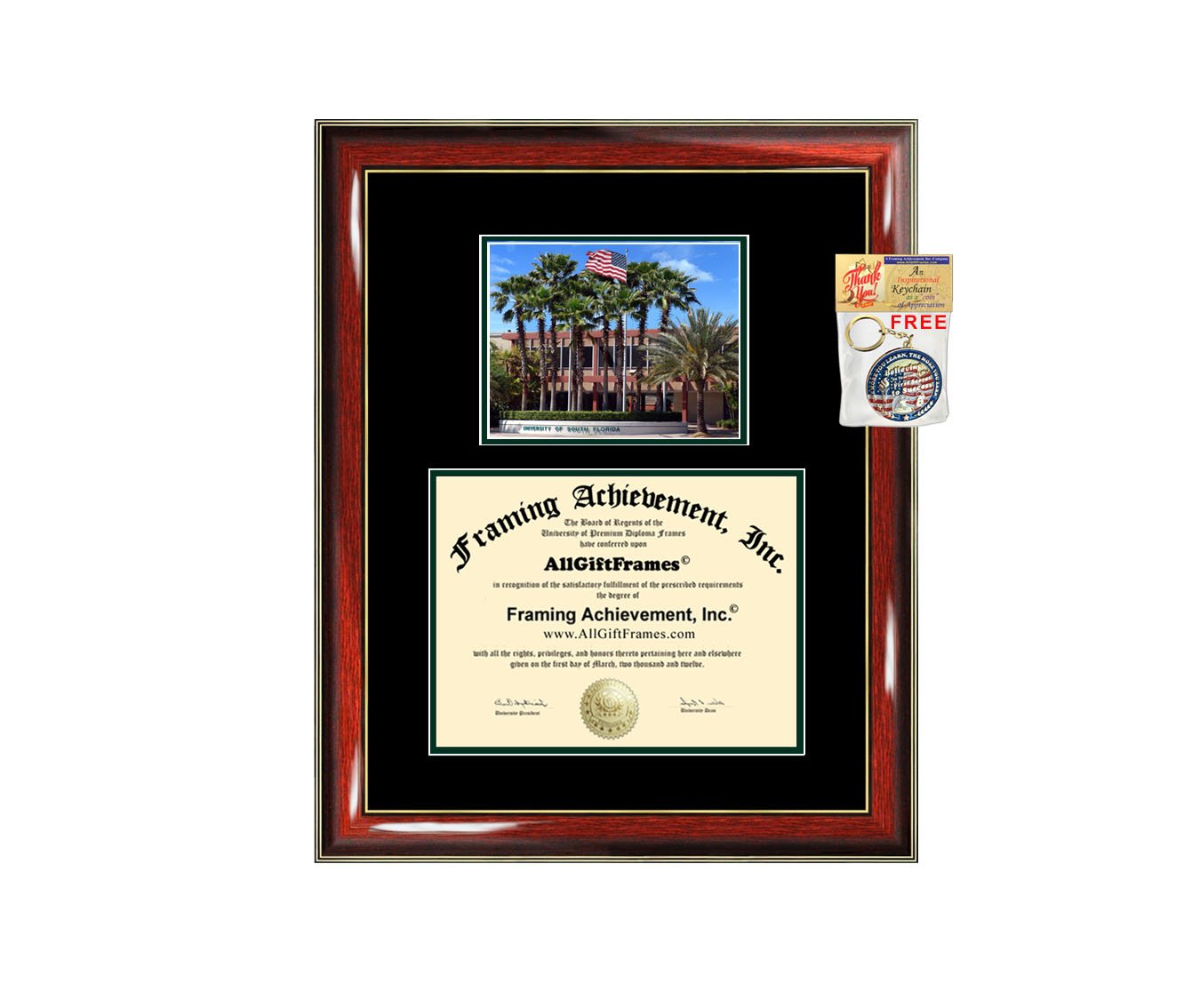 University Of South Florida Diploma Received Business Analytics