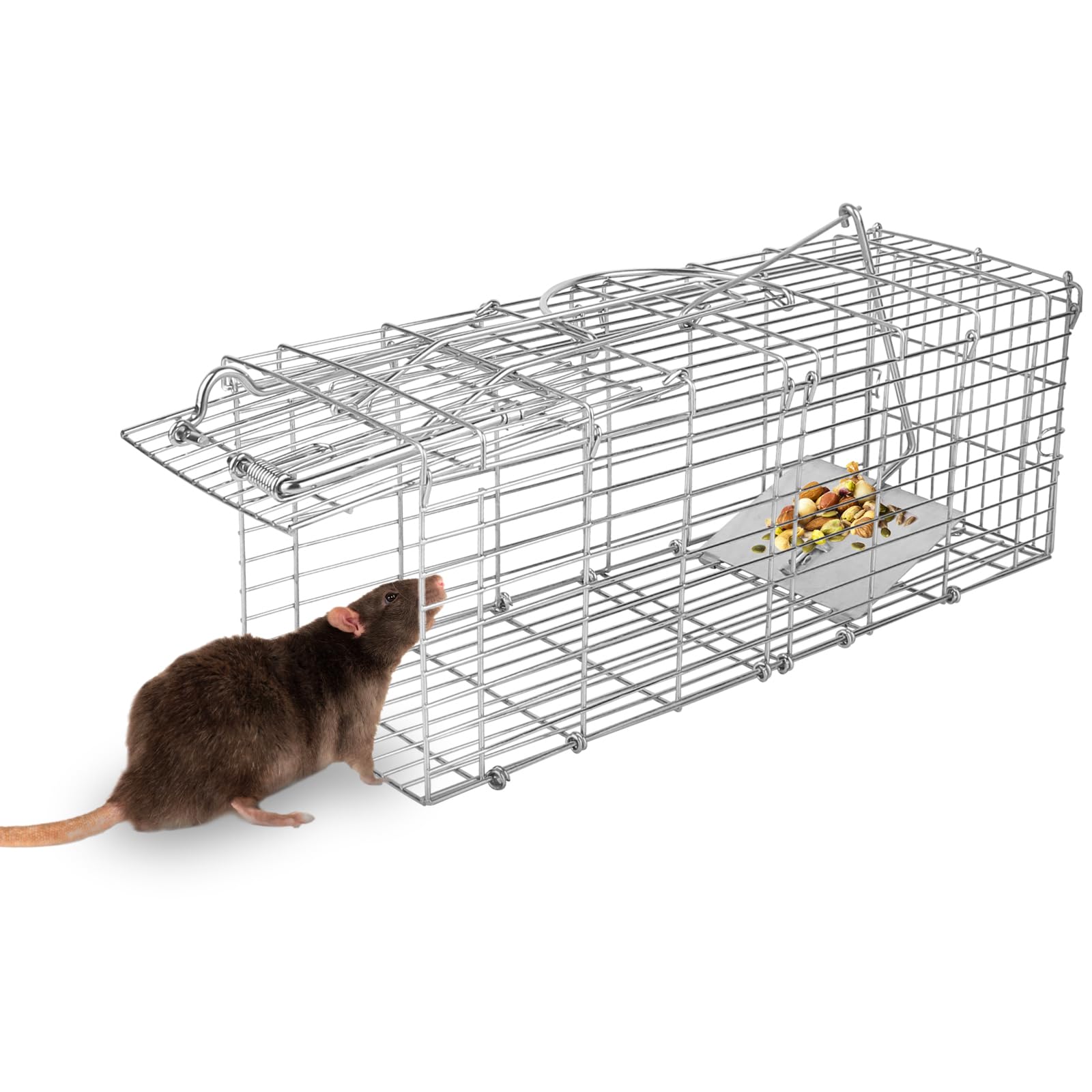 Amazon.com : Humane Rat Trap, Mouse Traps Work for Indoor and Outdoor ...