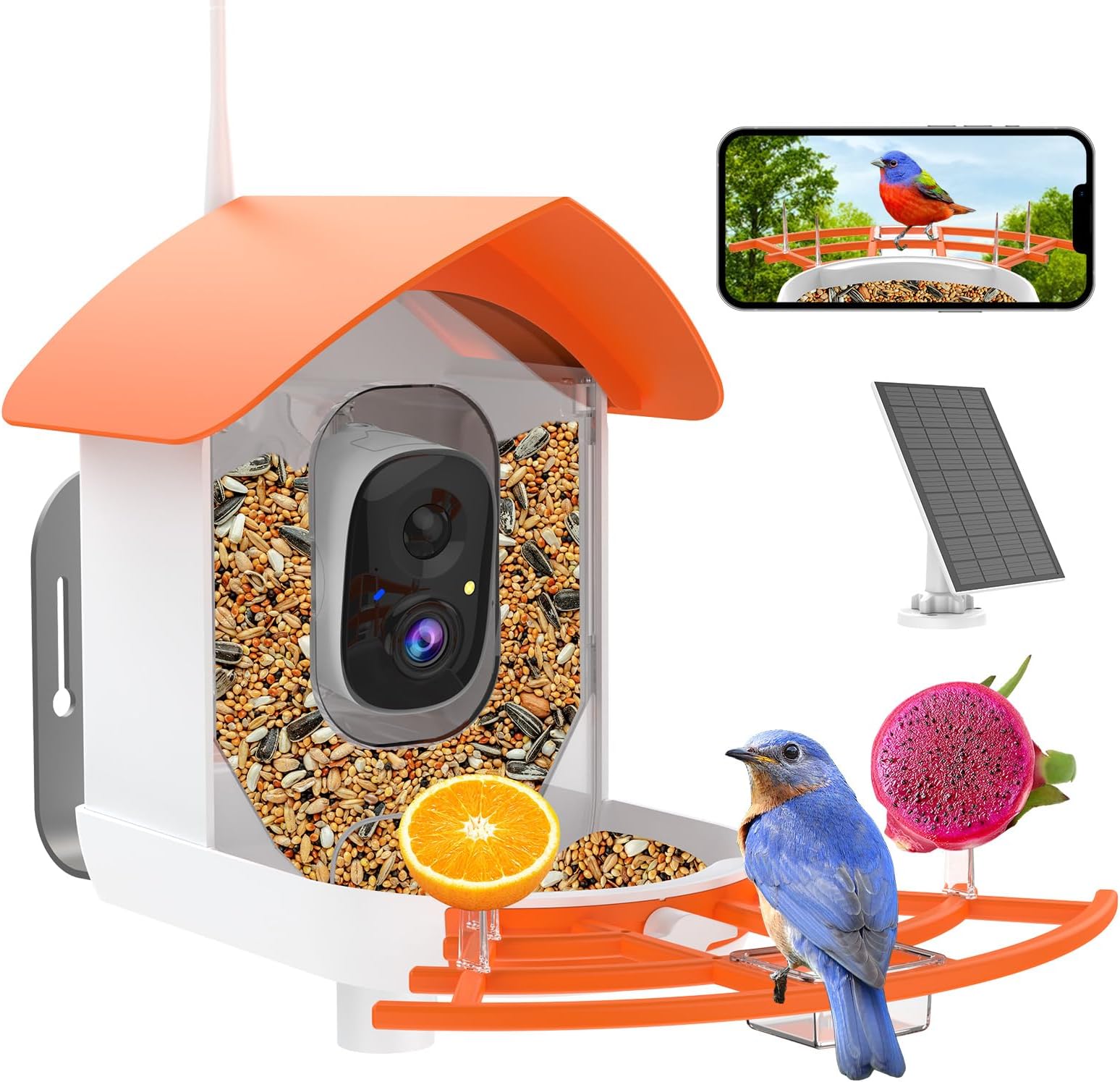 Amazon.com : Hiseeu Bird Feeder with Camera, 2.5L Large Capacity, AI Identify 11000+ Birds ...