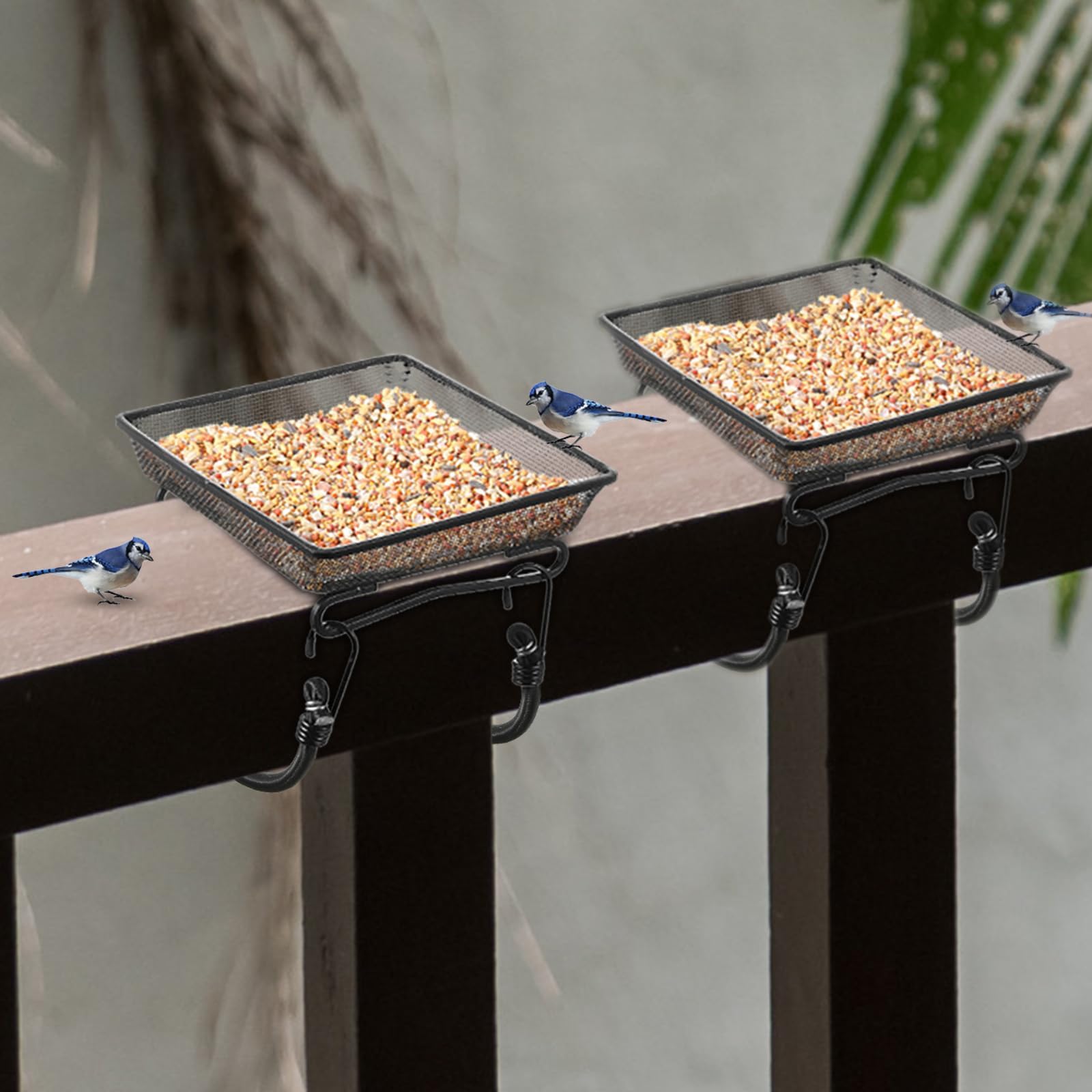 Amazon.com : 3 Pcs Platform Bird Feeder with Scoop, 6.7 x 6.7 x 2.2 in ...