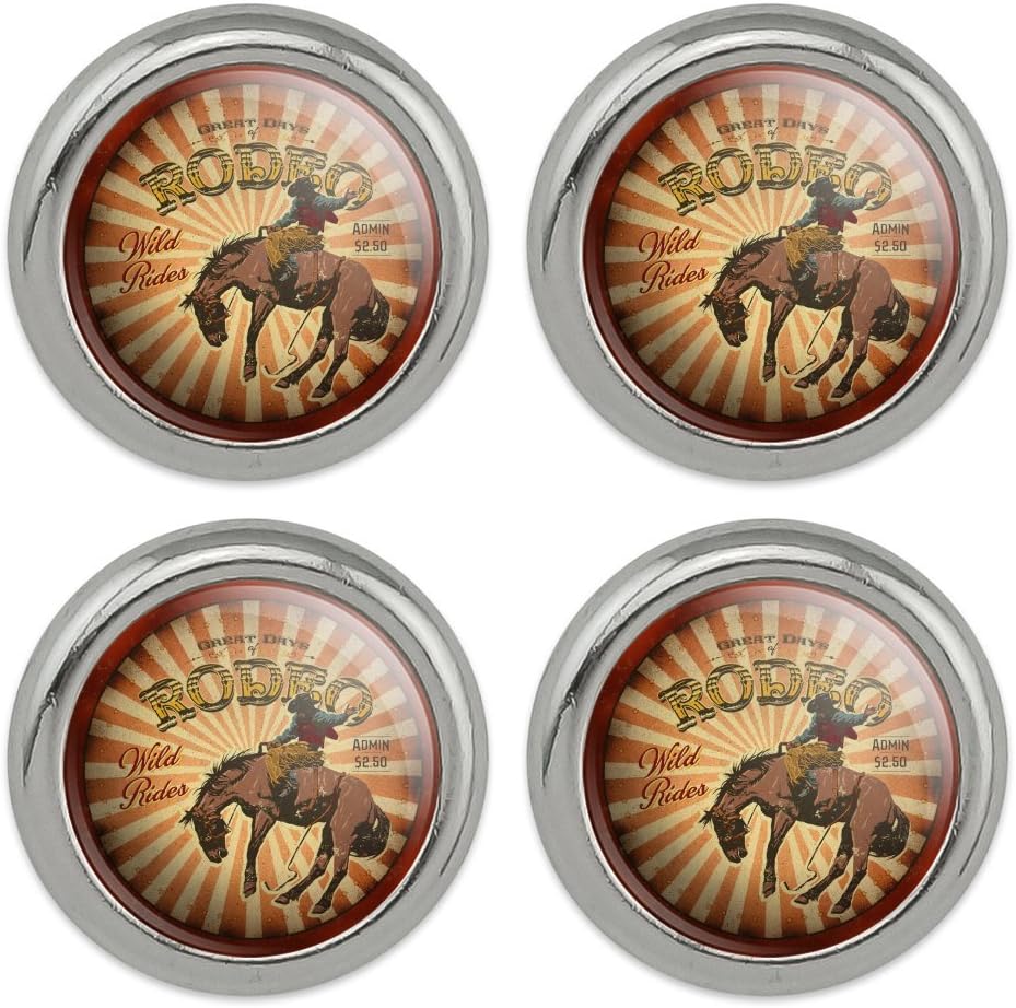 Amazon.com: Rodeo Cowboy Vintage Horse Riding Bucking Metal Craft ...