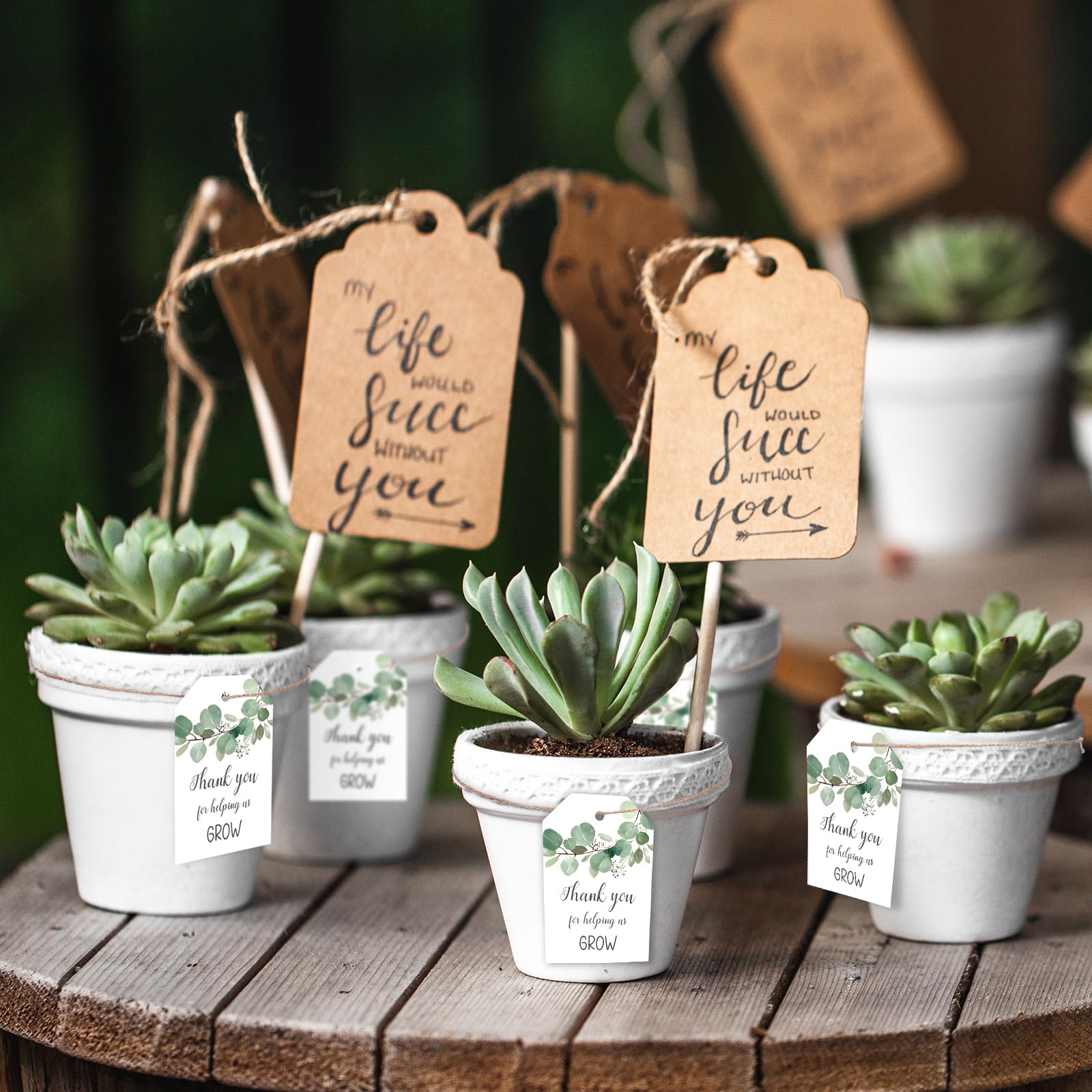 Succulent Favor Tags For Wedding