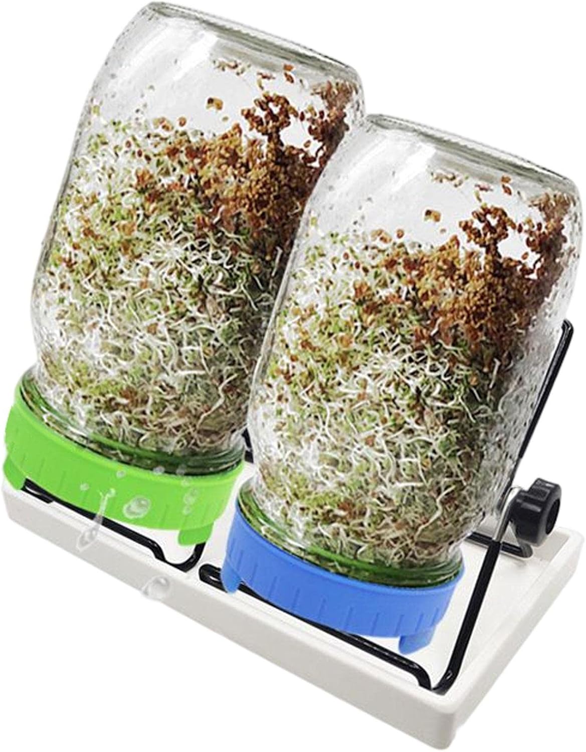 Moageme 2 Seed Sprouting Jar Kit, 1000 ml Sprouting Seeds Jar ...