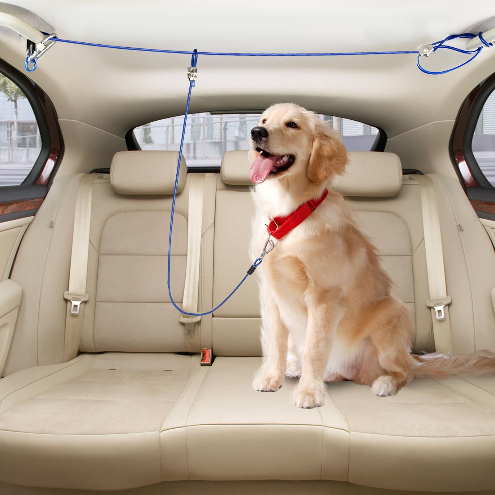 Amazon.com : Bushwhacker - Truck Bed Dog Cross Tether SUV UTV Pet Leash ...