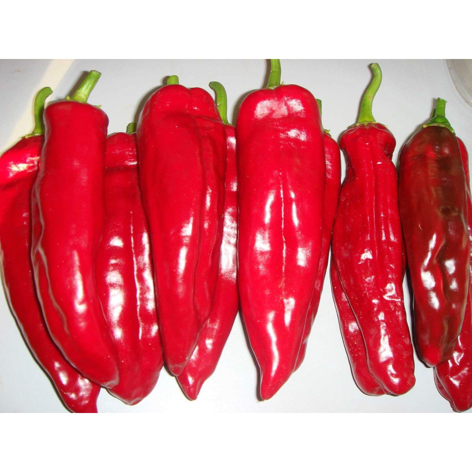 Amazon.com : () Corno di Toro Rosso Pepper - Pure Italian - Deep ...