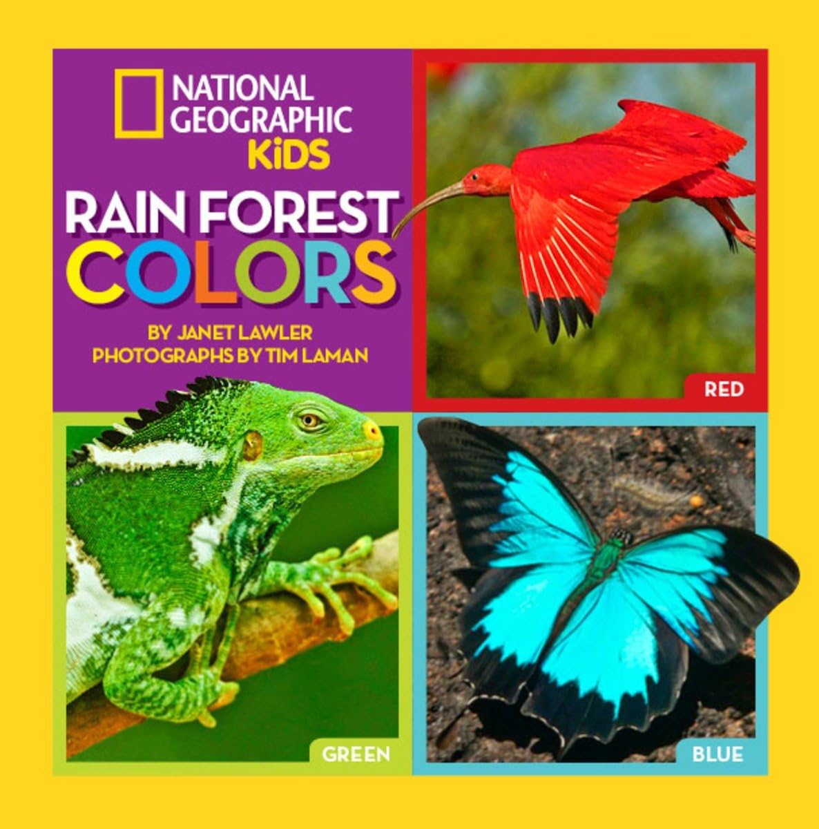 Amazon.com: Rain Forest Colors (National Geographic Kids ...