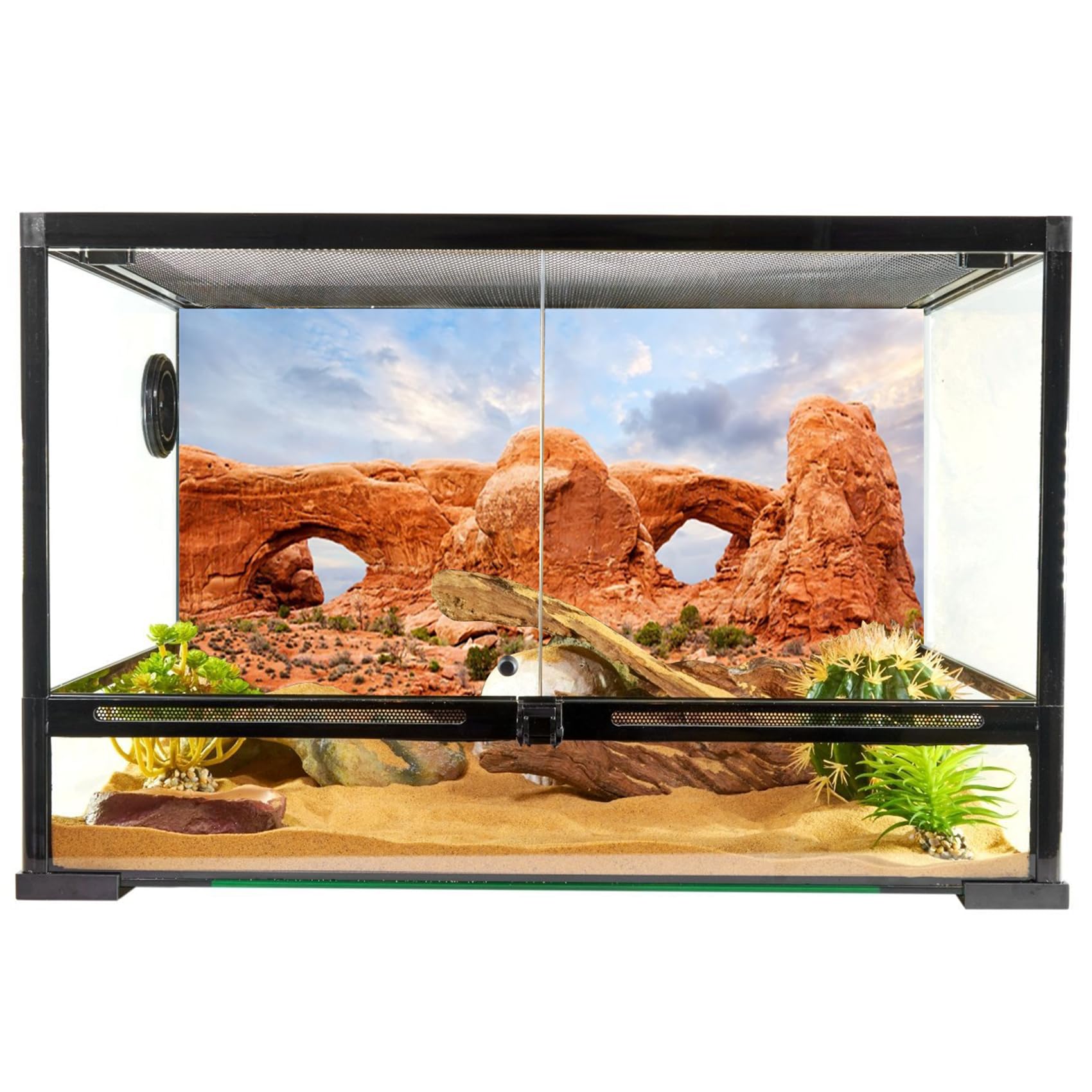 Snapklik.com : Reptile Terrarium Background 48x24 Inch Reptile Tank ...