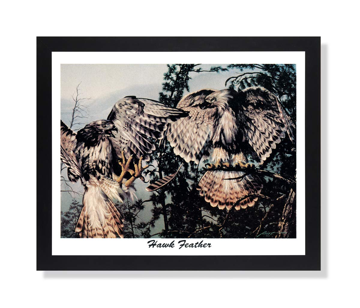 Native American Hawk
