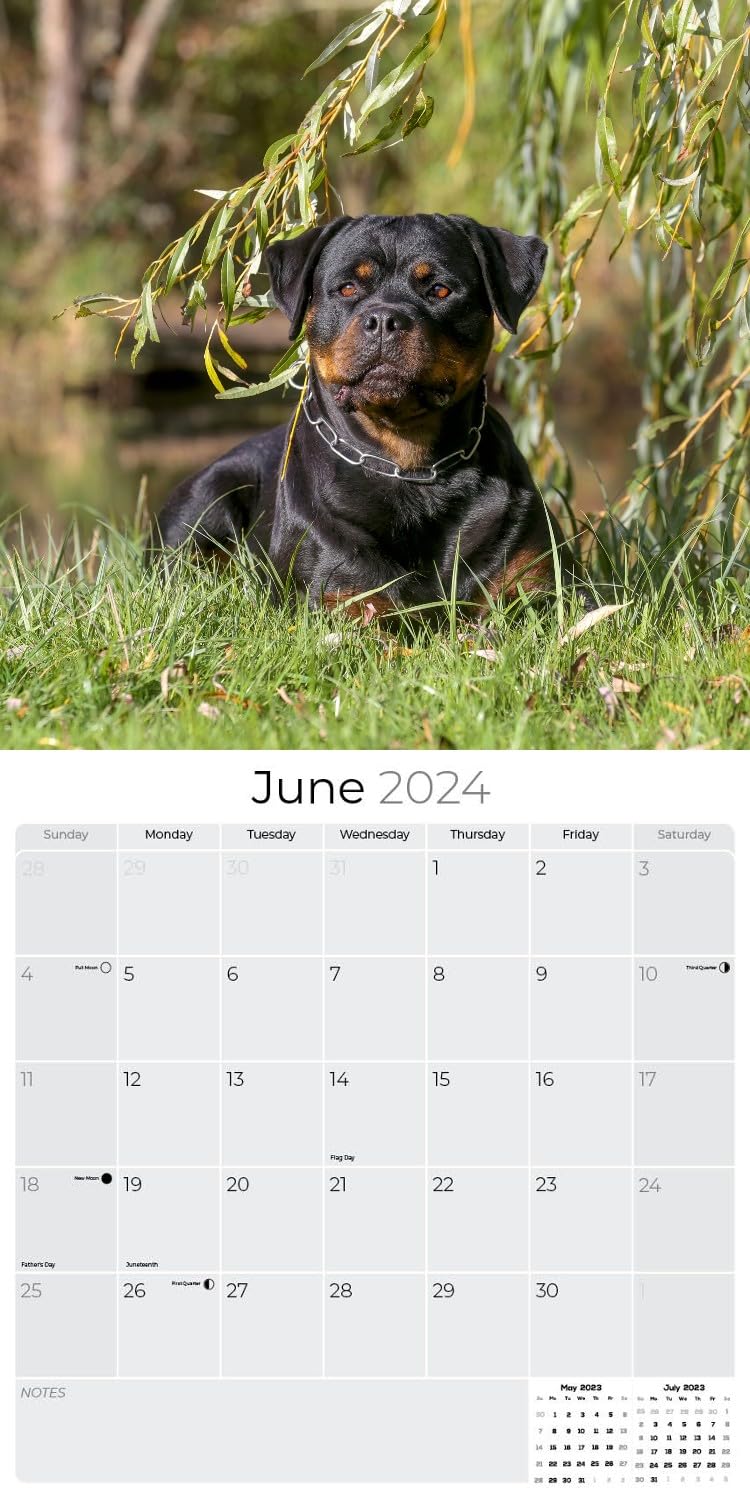 Snapklik.com : Rottweiler Calendar 2024 - Dog Breed Wall Calendar