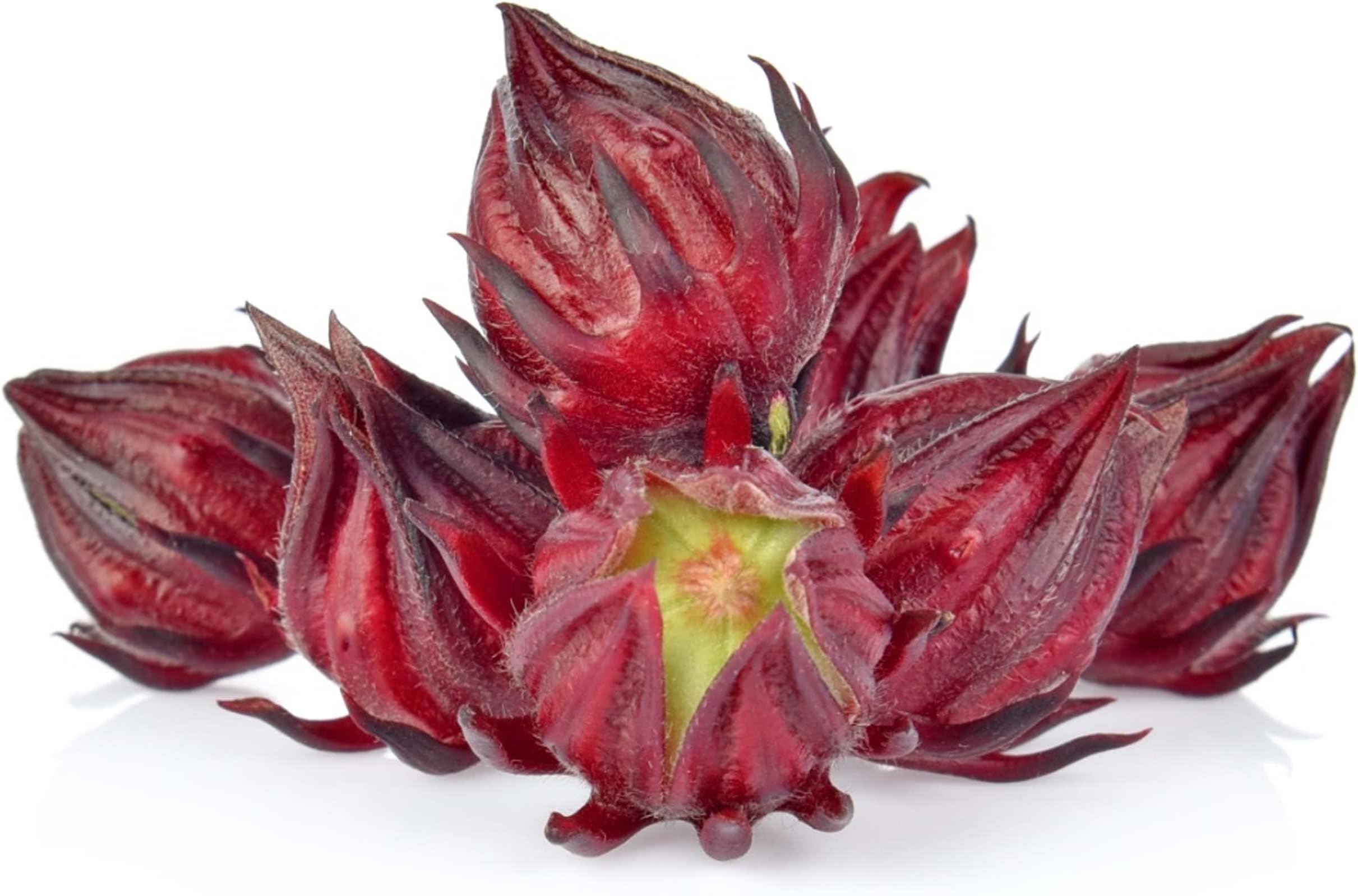 Amazon.com : 50 Roselle Seeds, Jamaican Sorrel Seeds, Florida Cranberry Seeds, Indian Roselle ...