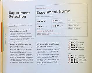 Testing Business Ideas: A Field Guide for Rapid Experimentation (The ...